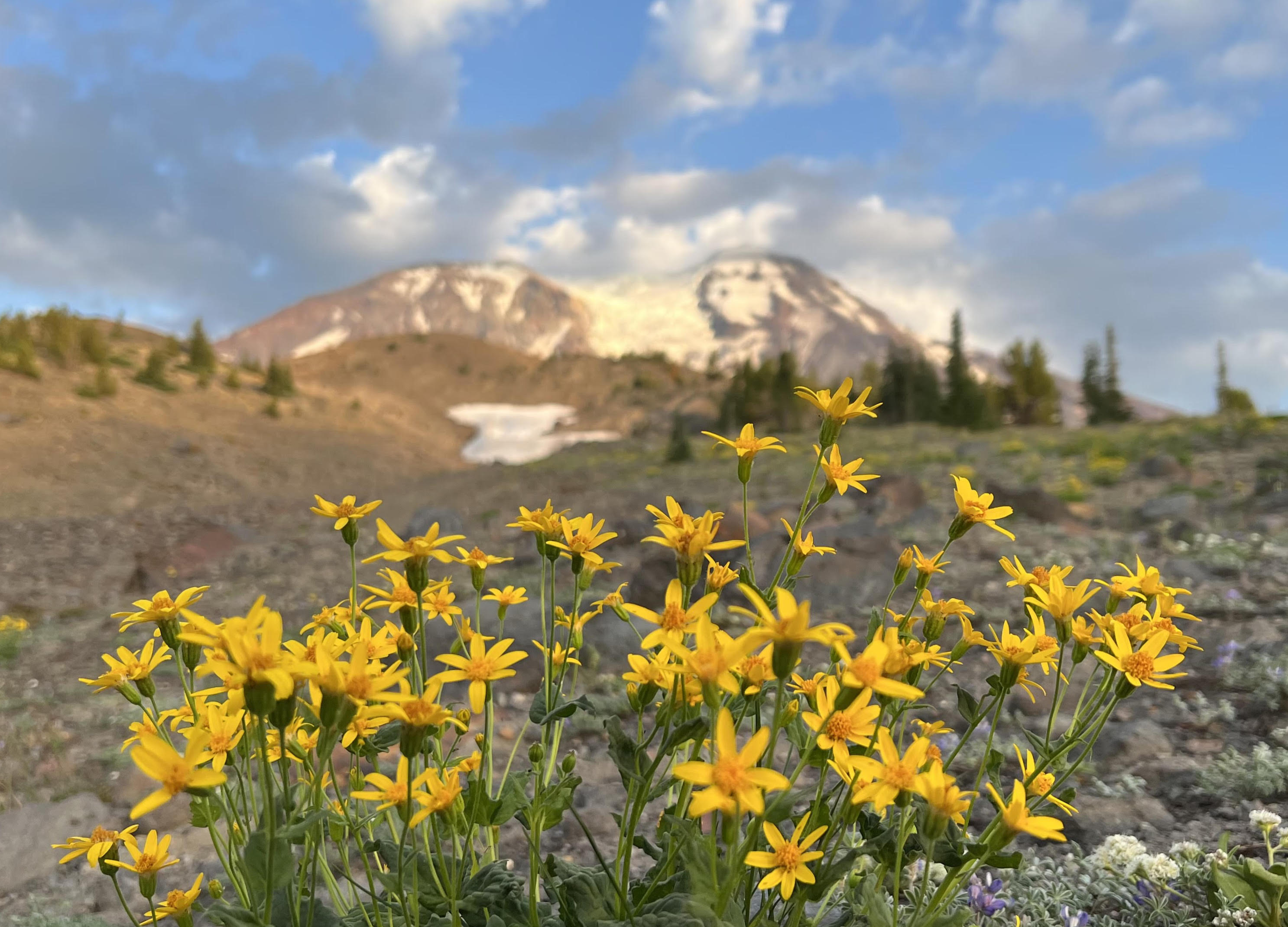 Burnt Rock — Washington Trails Association