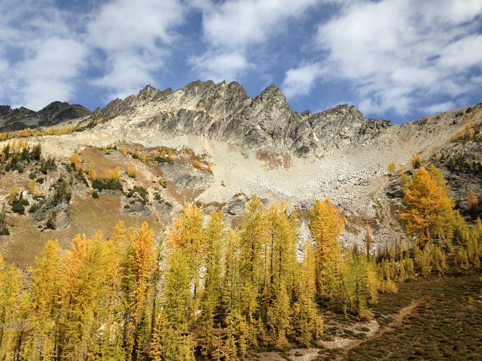 Carne Mountain High Route — Washington Trails Association