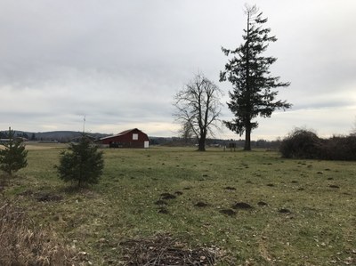 Chehalis River Discovery Trail — Washington Trails Association