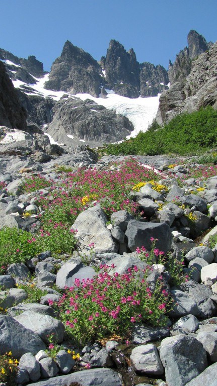 Chimney Rock — Washington Trails Association