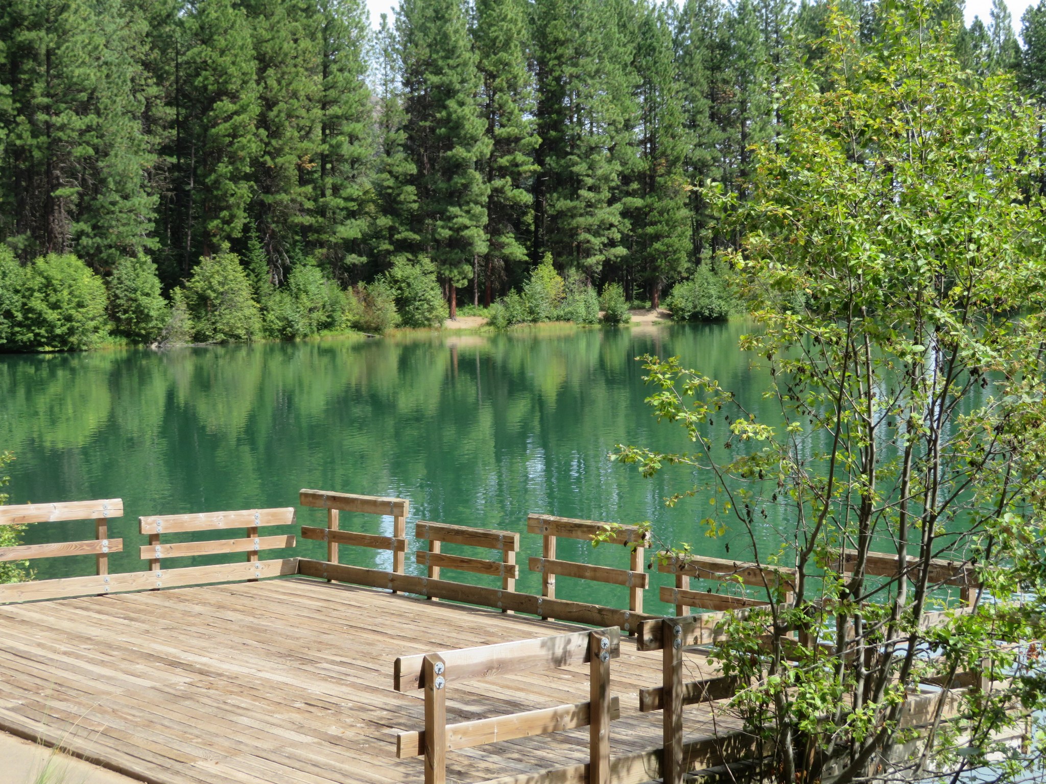 Clear Lake Interpretive Trail — Washington Trails Association