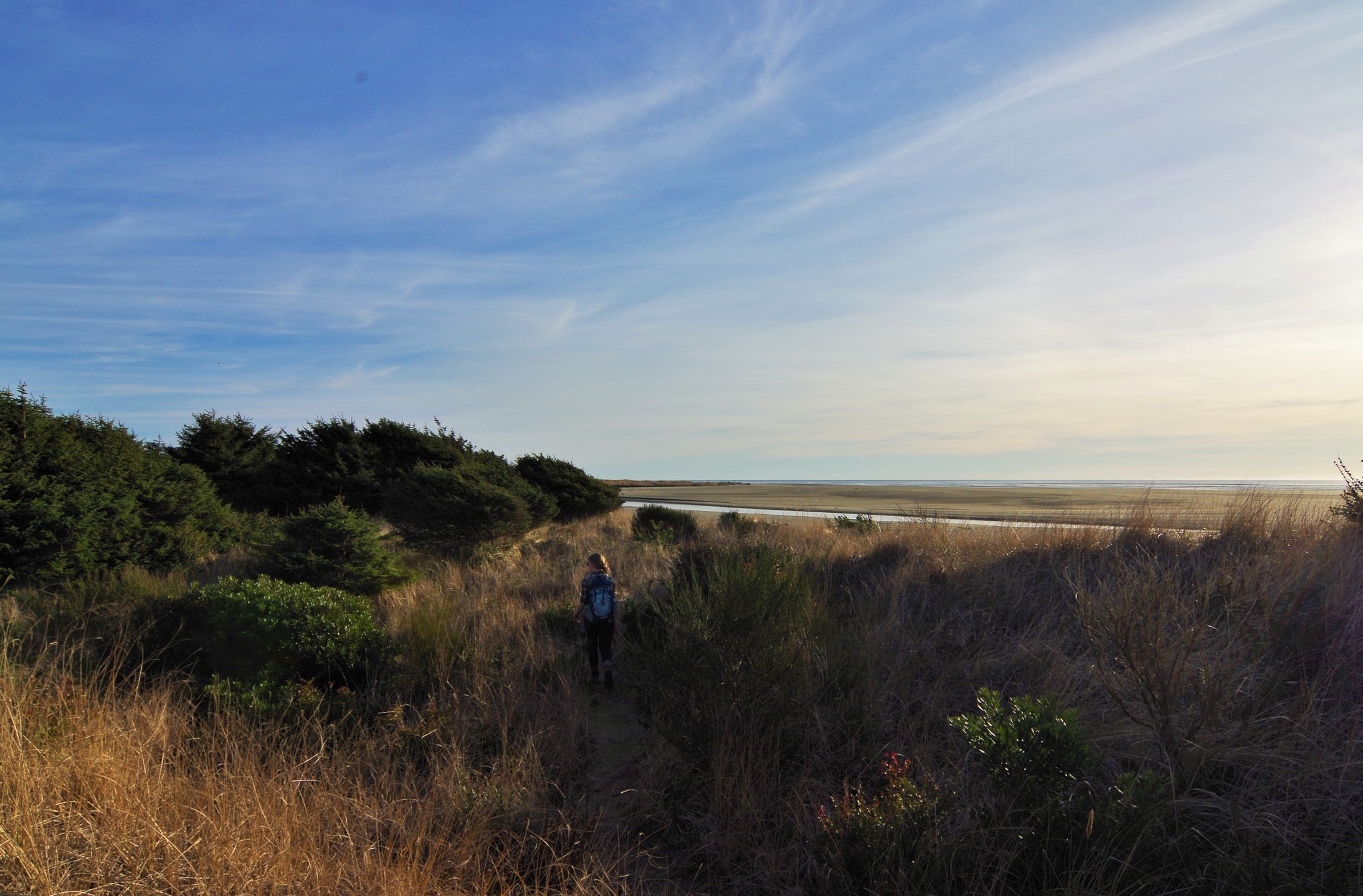 Griffiths-Priday State Park - Copalis River Spit — Washington Trails ...