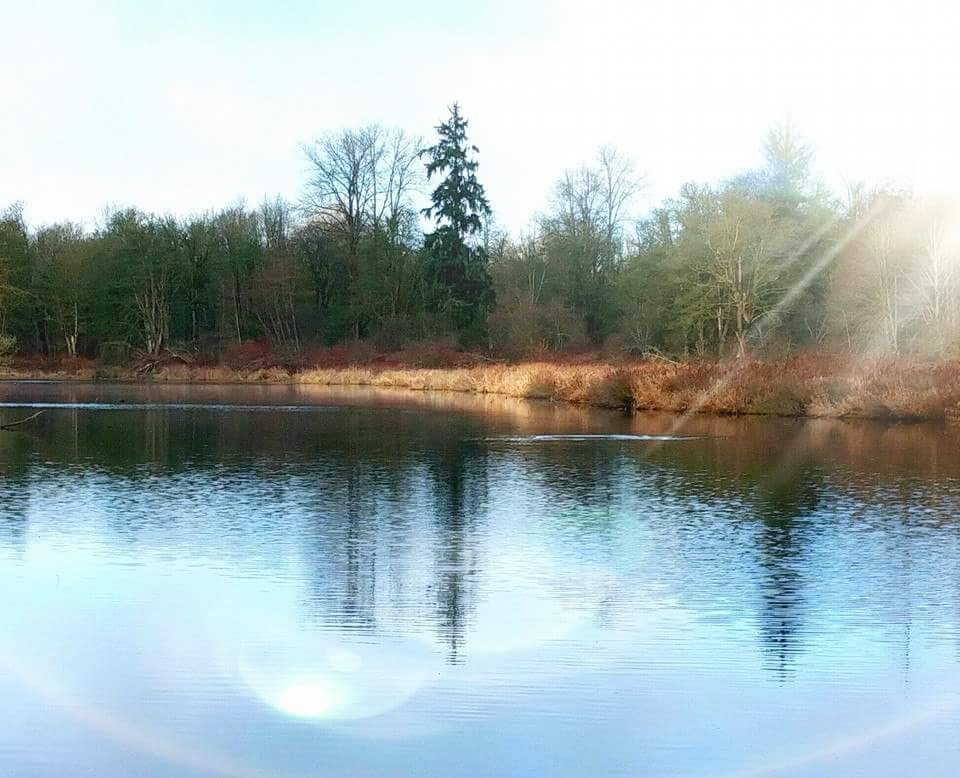 Crescent Lake — Washington Trails Association