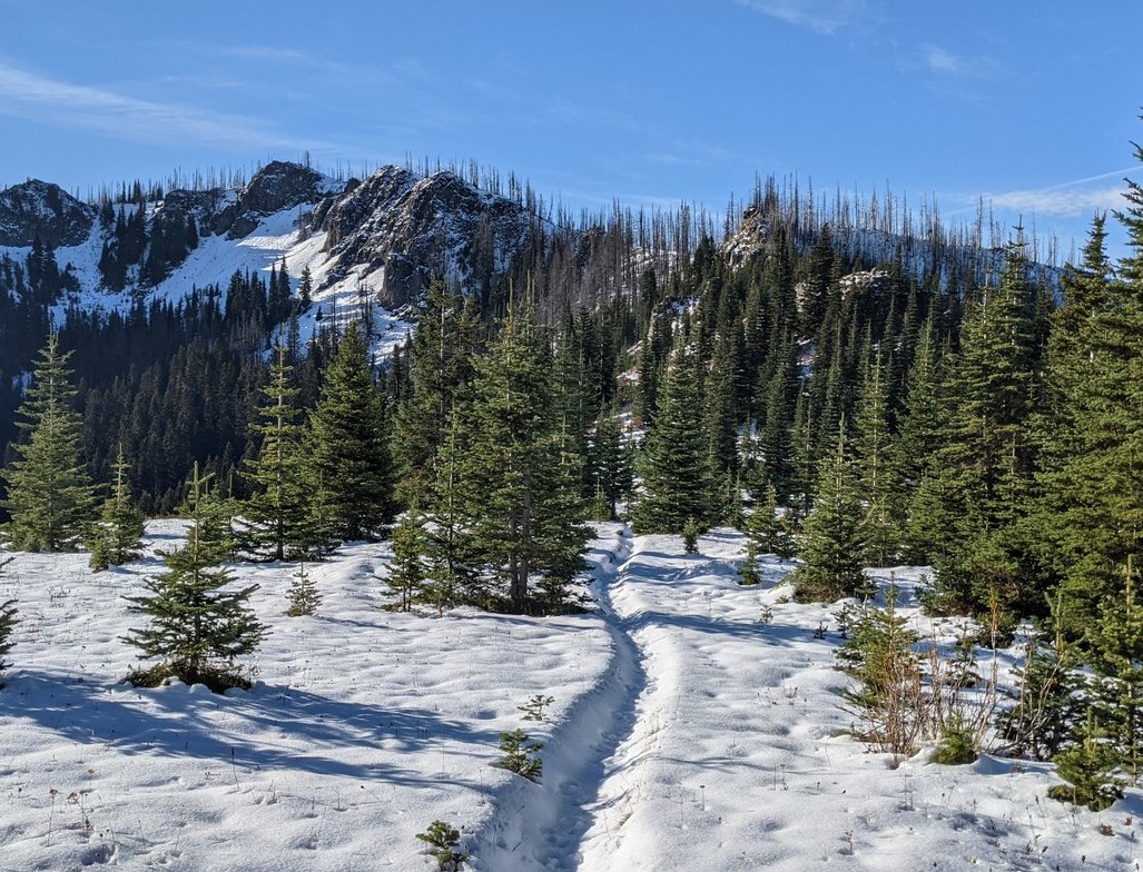 Dalles Ridge — Washington Trails Association