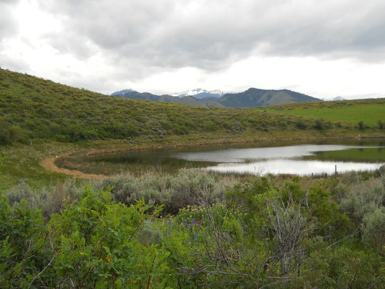 Dead Horse Lake — Washington Trails Association