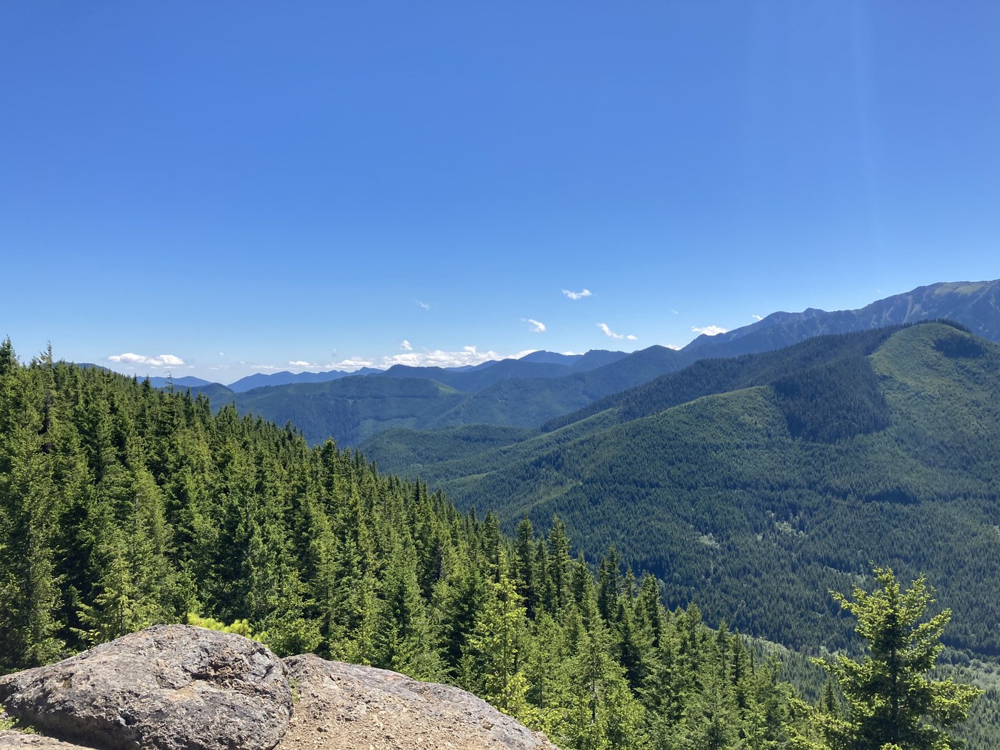 Deadfall — Washington Trails Association