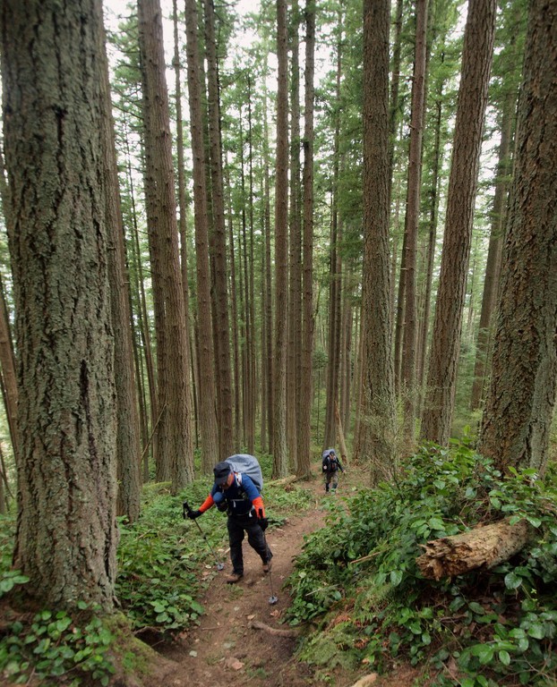 Larrabee State Park - Double Diamond Trail — Washington Trails Association