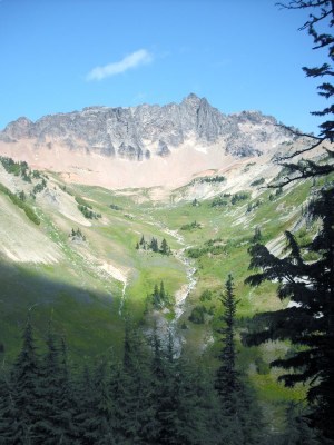 Snowgrass - Cispus Basin - Nannie Ridge Loop — Washington Trails ...