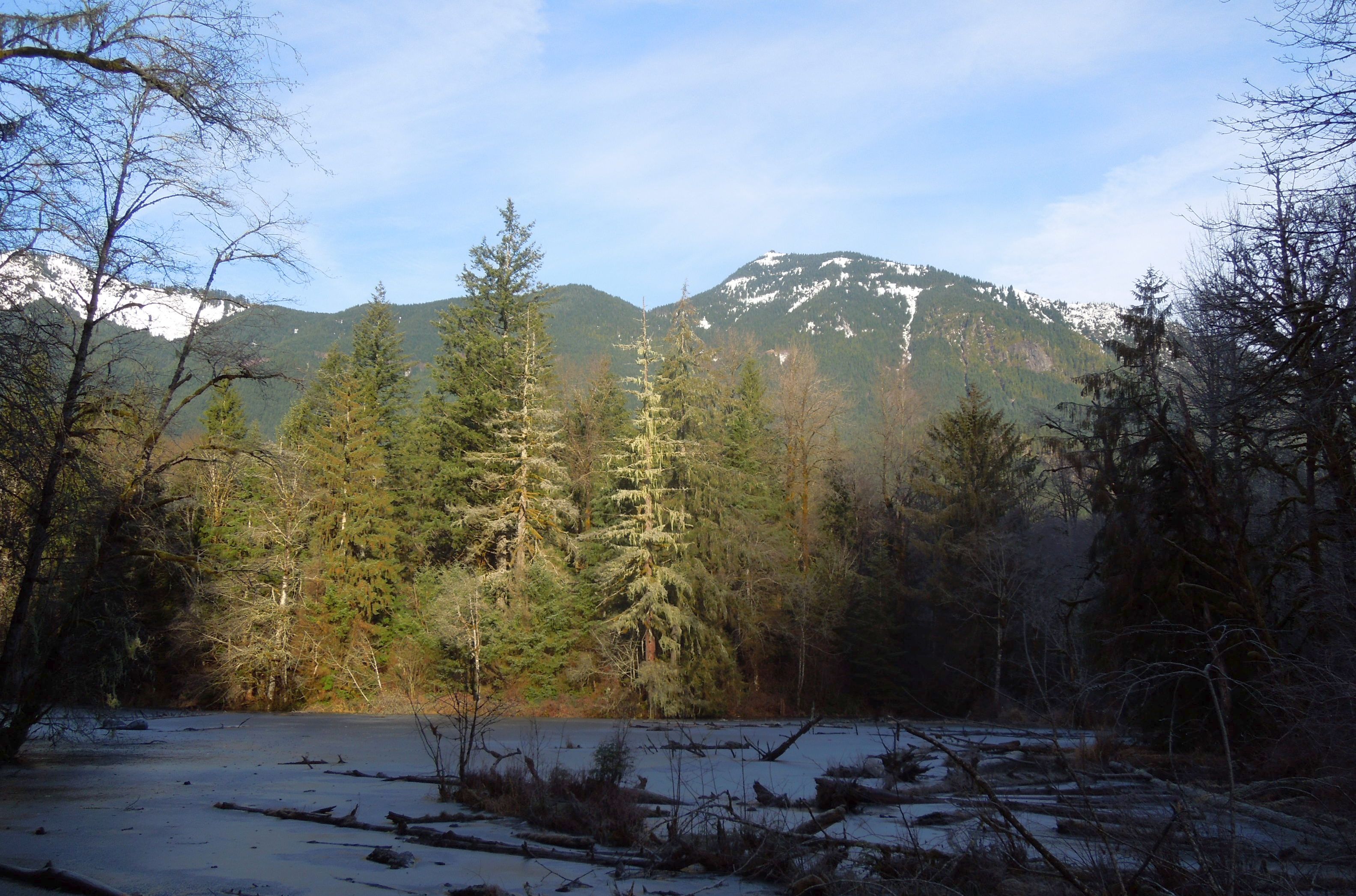 Oxbow Loop Trail — Washington Trails Association