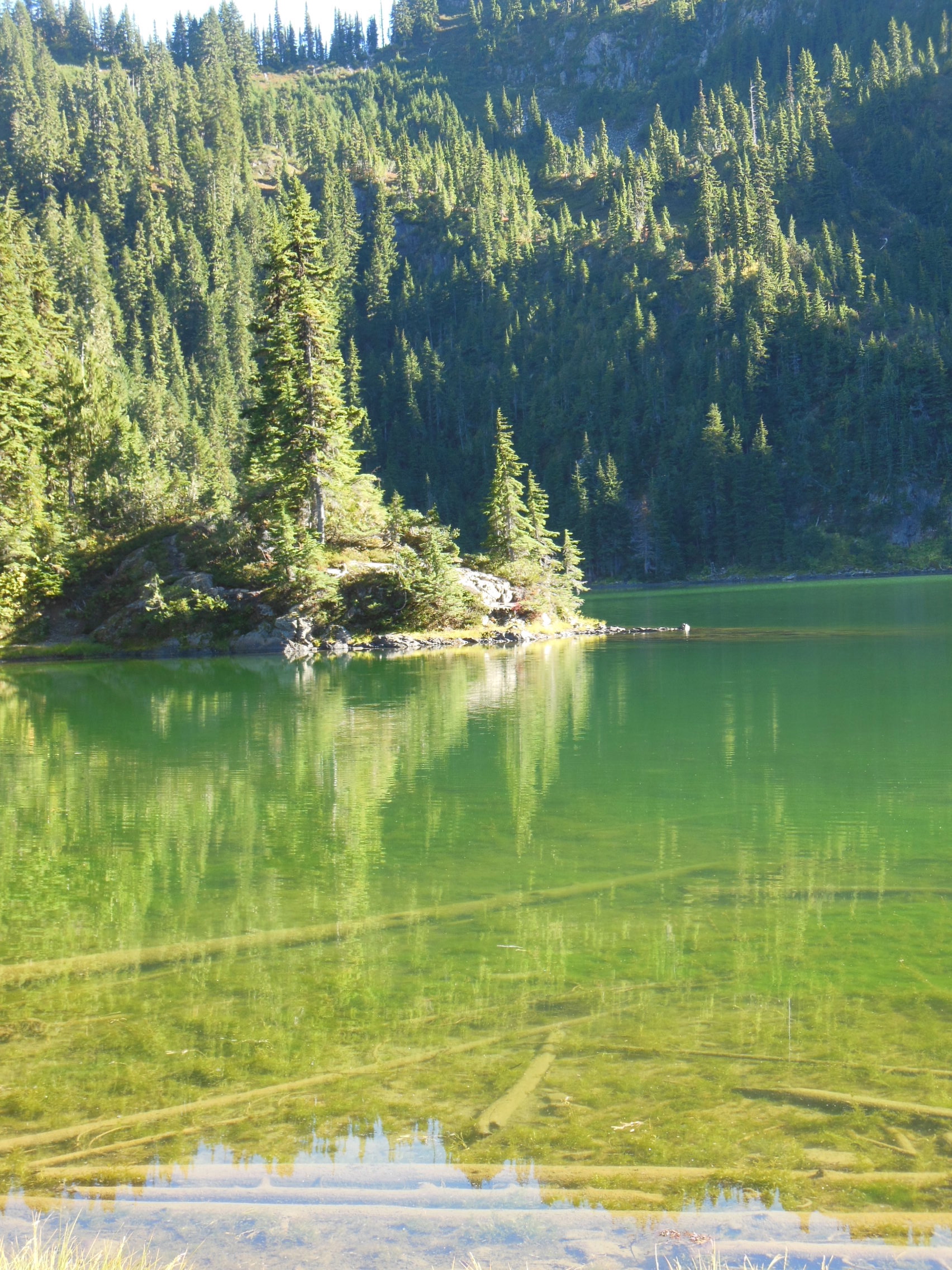 Boulder Lake (Olympics) — Washington Trails Association