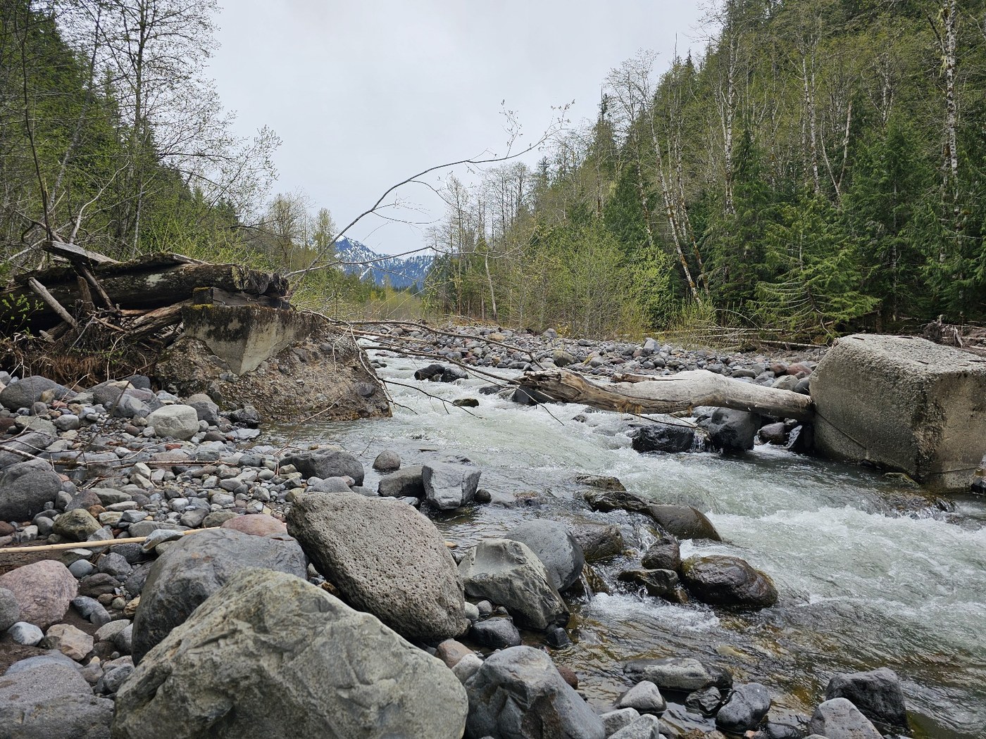 Elbow Lake — Washington Trails Association