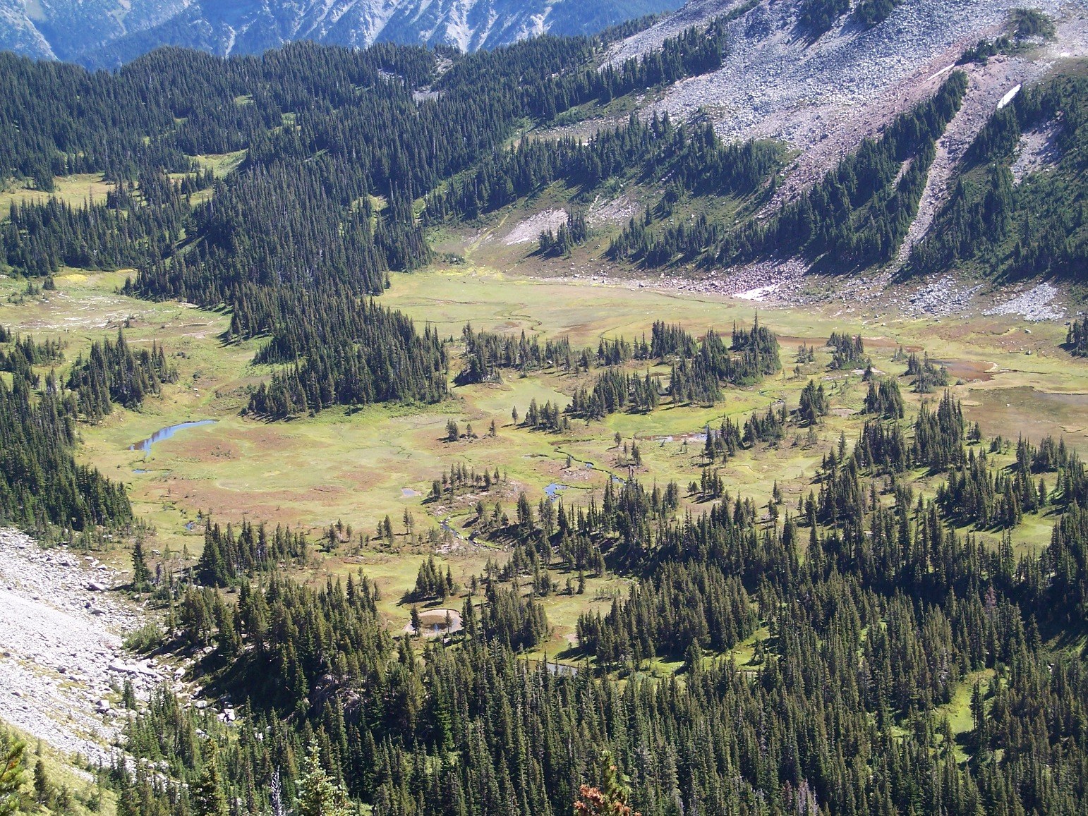 Elysian Fields — Washington Trails Association