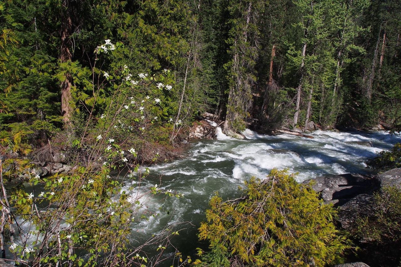 Silver Falls Interpretive Trail — Washington Trails Association