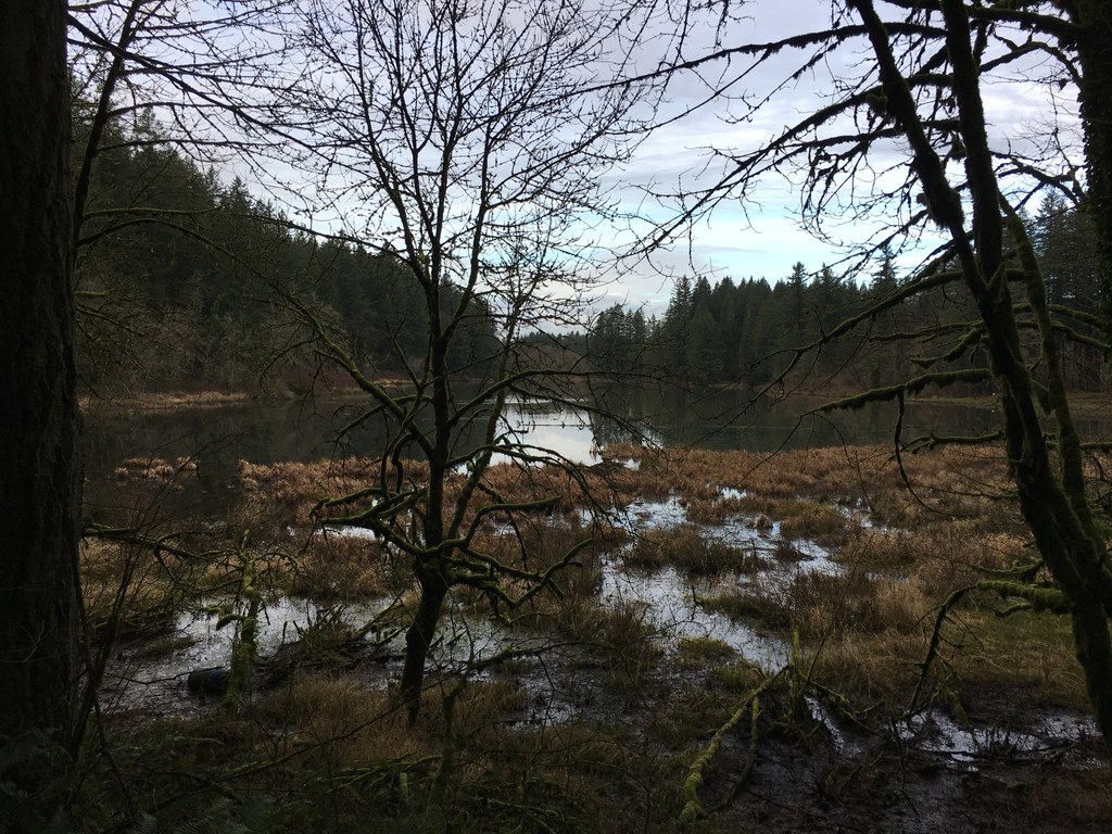 Fallen Leaf Lake — Washington Trails Association