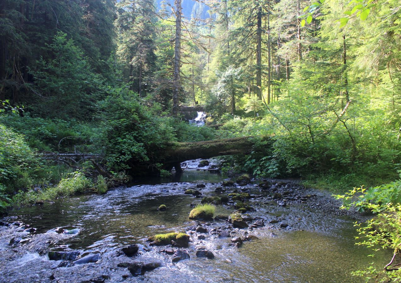 Fletcher Canyon — Washington Trails Association