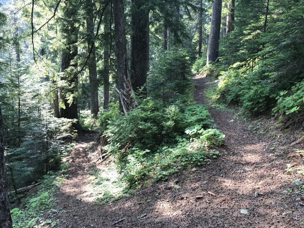 Fossil Trail — Washington Trails Association