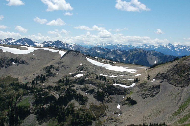 Grand Ridge — Washington Trails Association