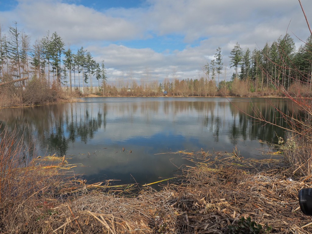 Hawks Prairie Reclaimed Water Ponds — Washington Trails Association