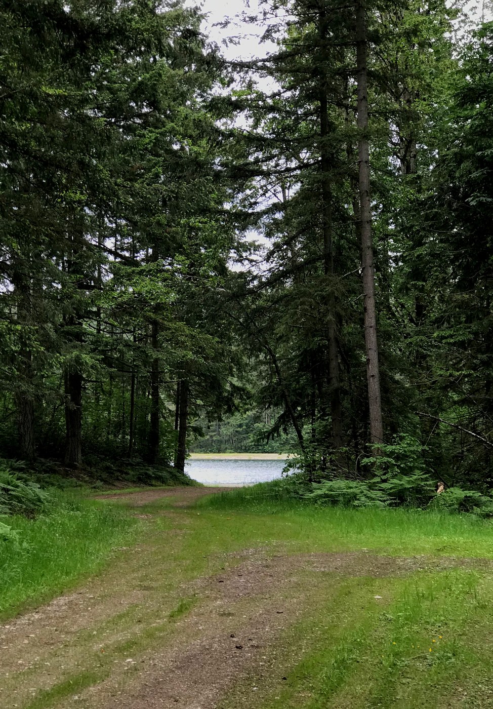 Lake Youngs Trail — Washington Trails Association