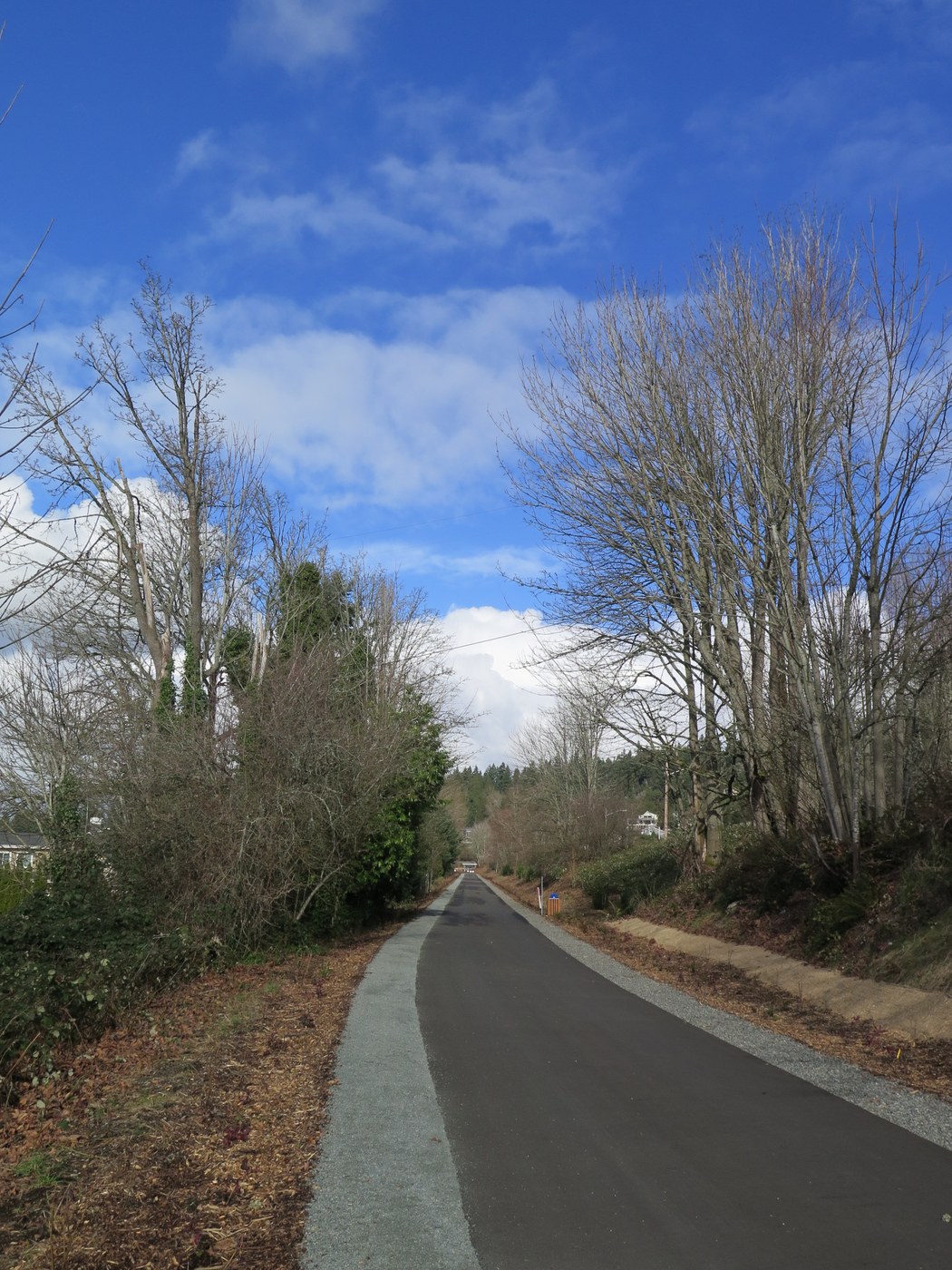 East Lake Sammamish Trail — Washington Trails Association