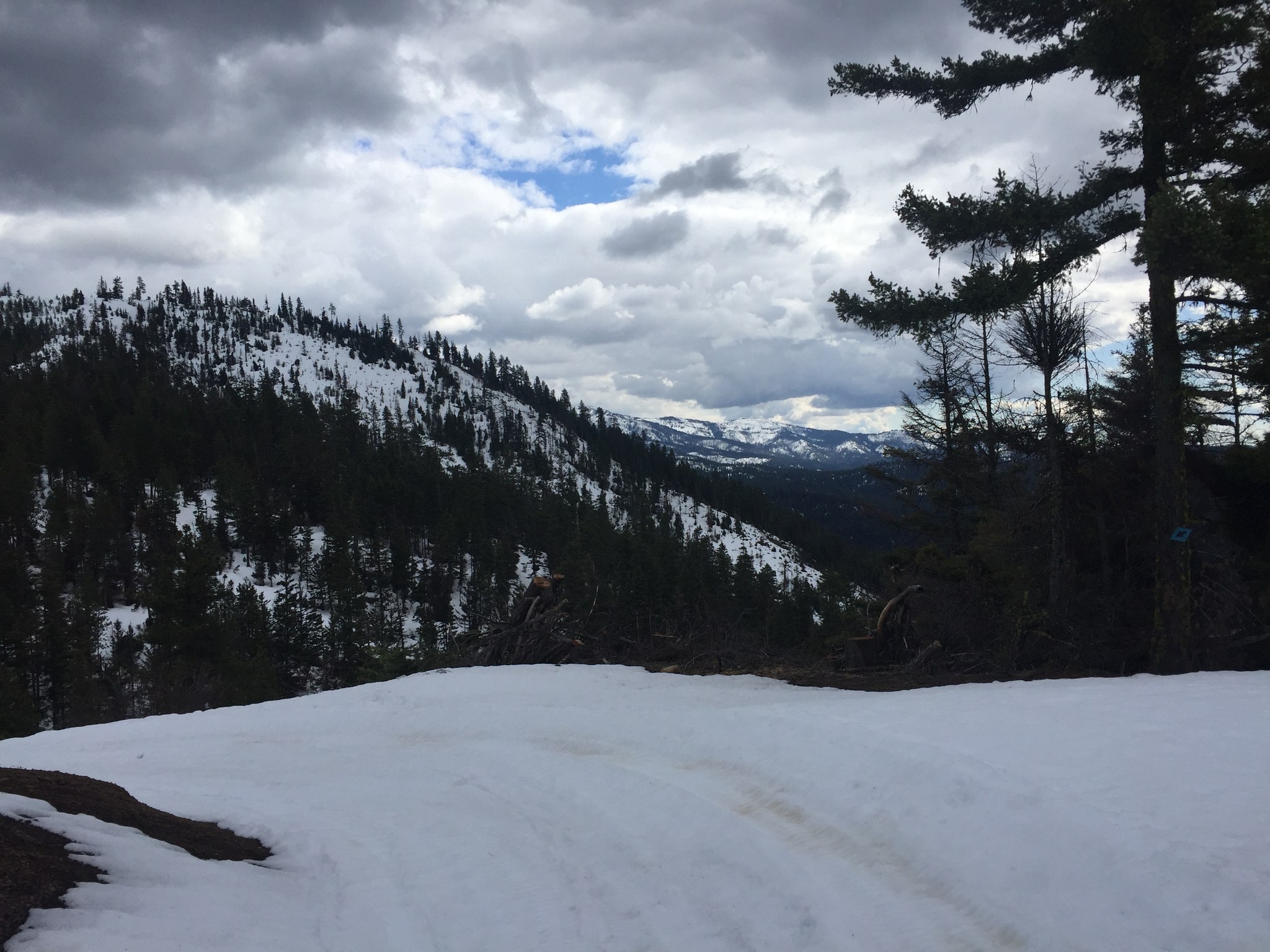 Iron Creek - Blewett Pass Sno-Park Loop — Washington Trails Association