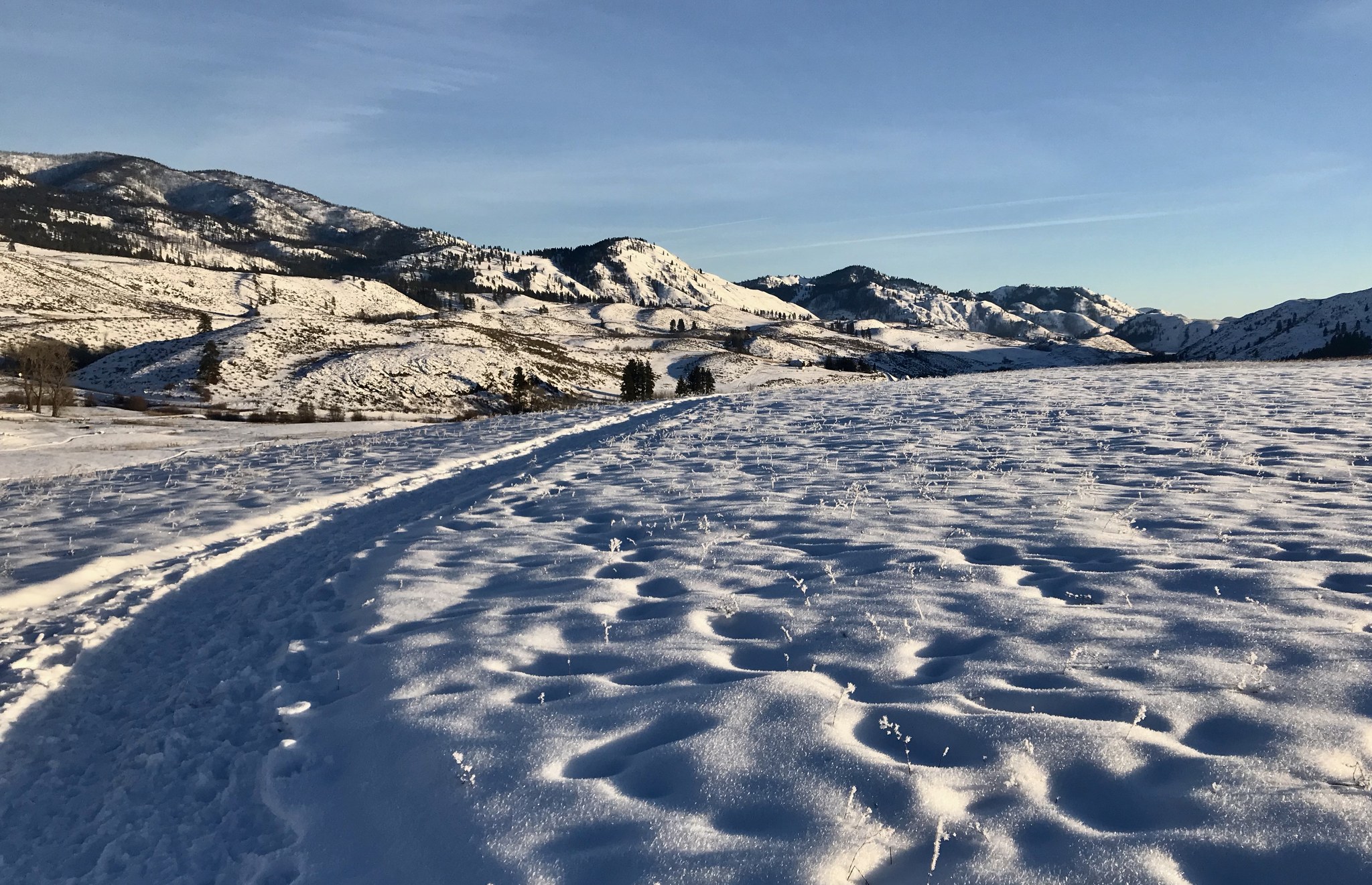 Pearrygin Lake Sno-Park - Lloyd Ranch — Washington Trails Association
