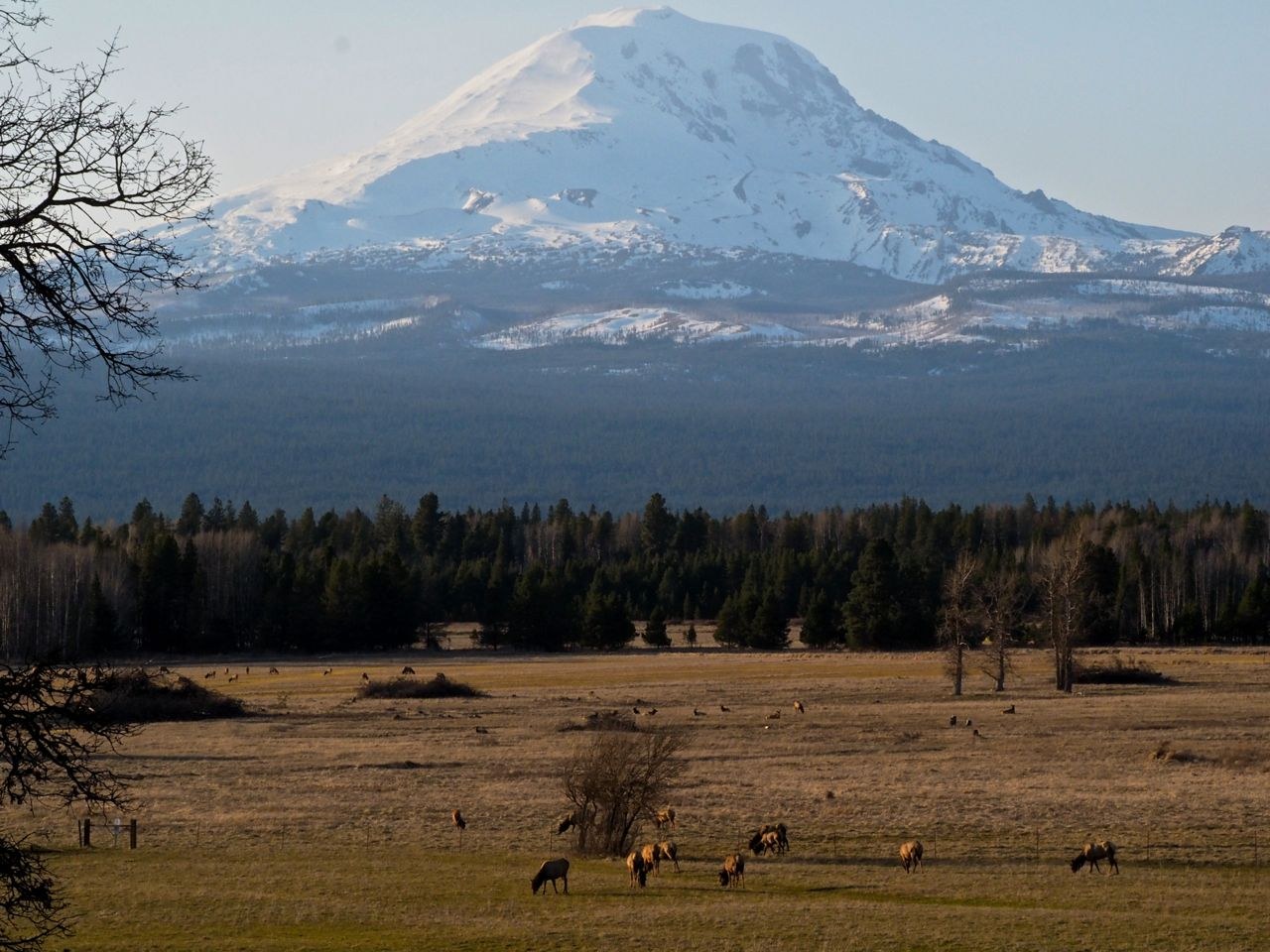 Conboy Lake National Wildlife Refuge — Washington Trails Association
