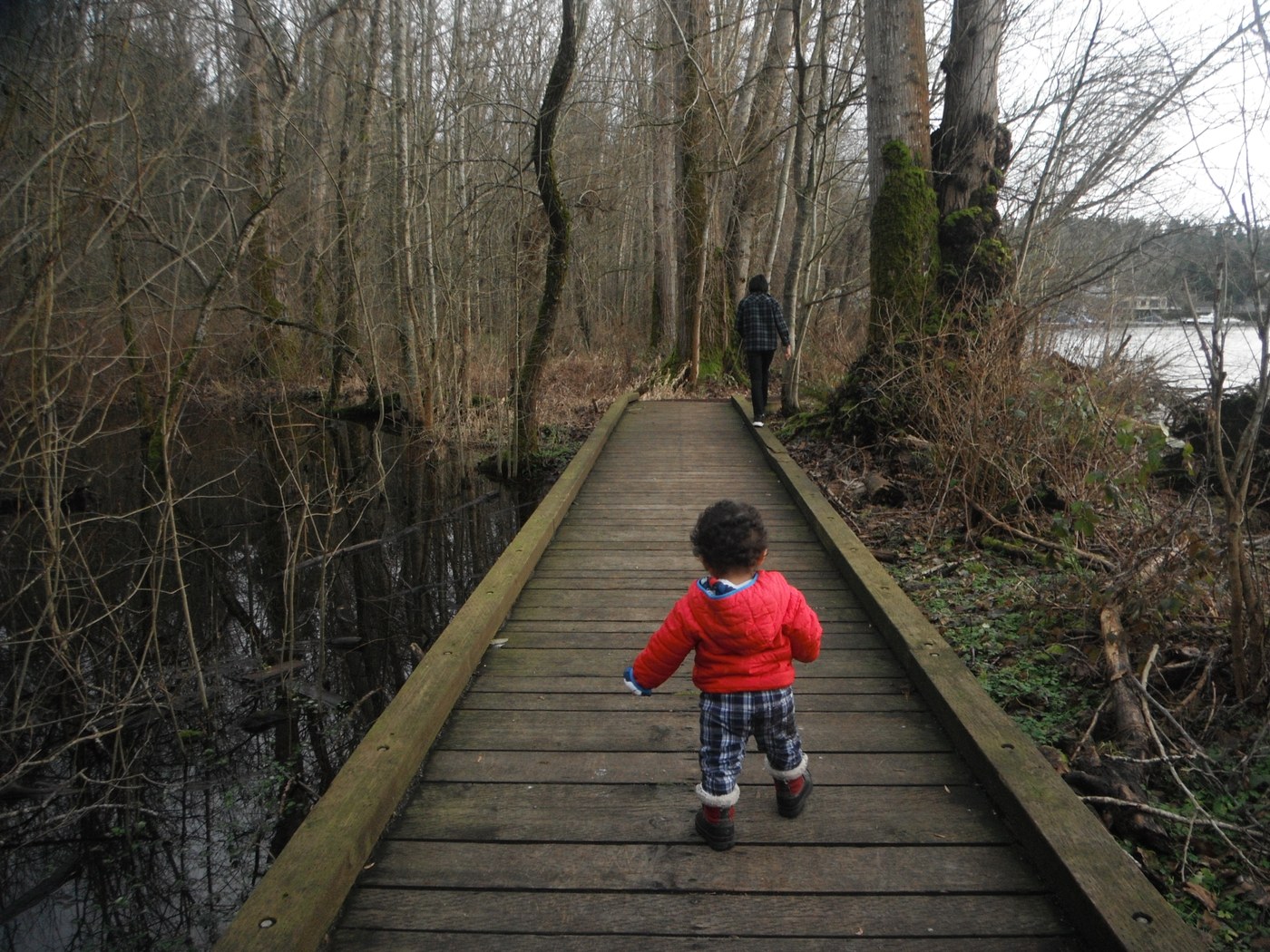 Newcastle Beach Nature Trail — Washington Trails Association