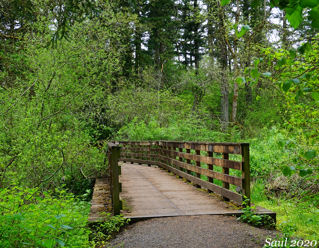 Beaver Marsh Loop — Washington Trails Association