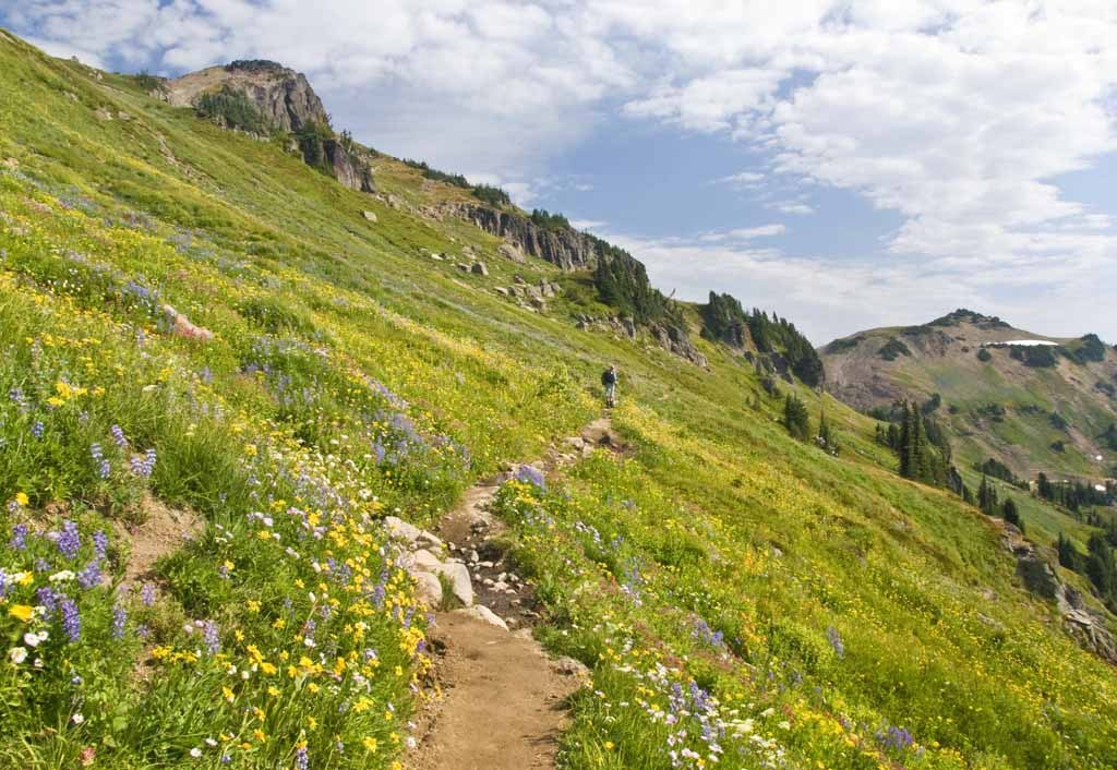 Heart Lake via Lily Basin Trail — Washington Trails Association