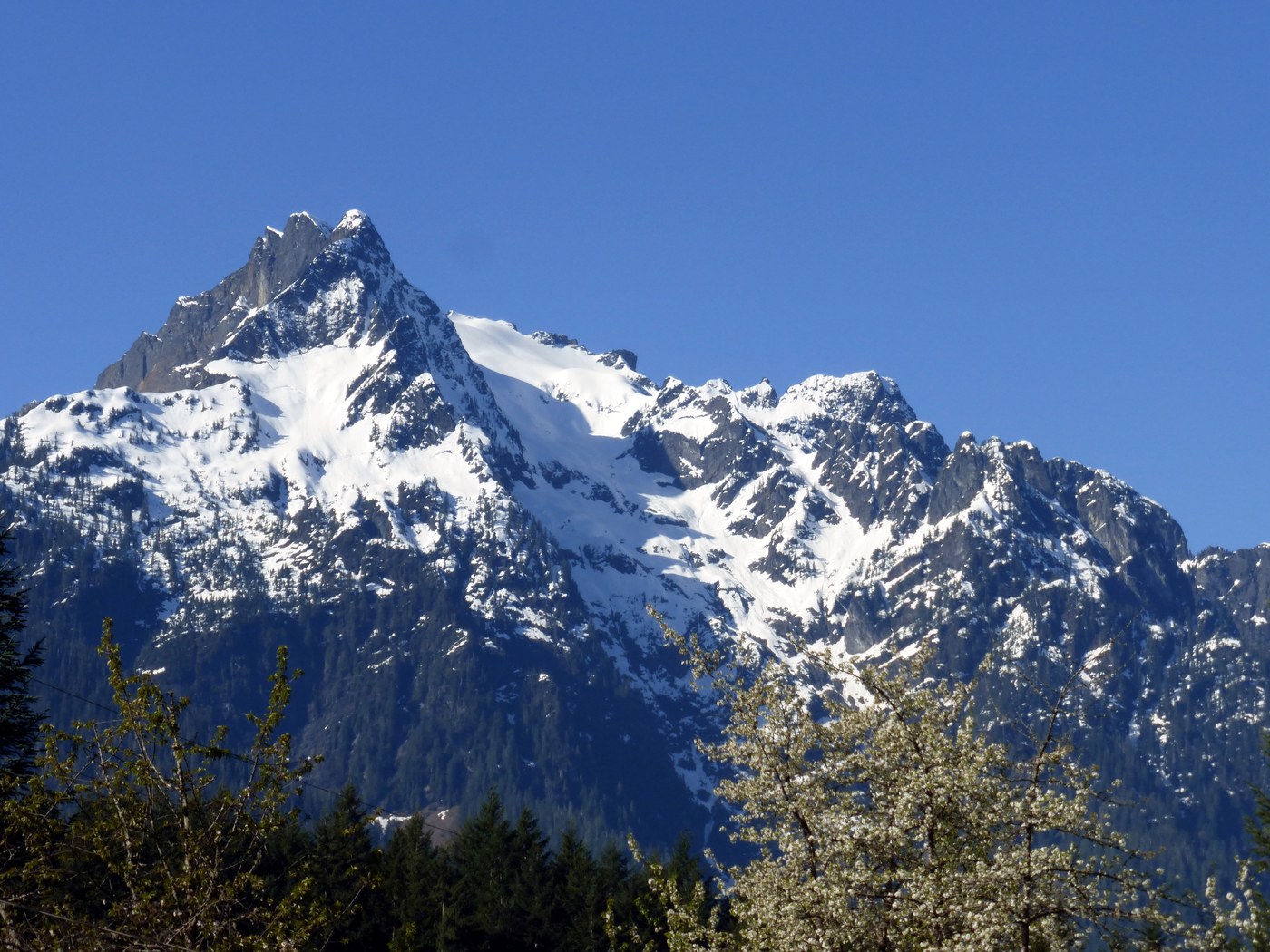 Whitehorse Trail — Washington Trails Association