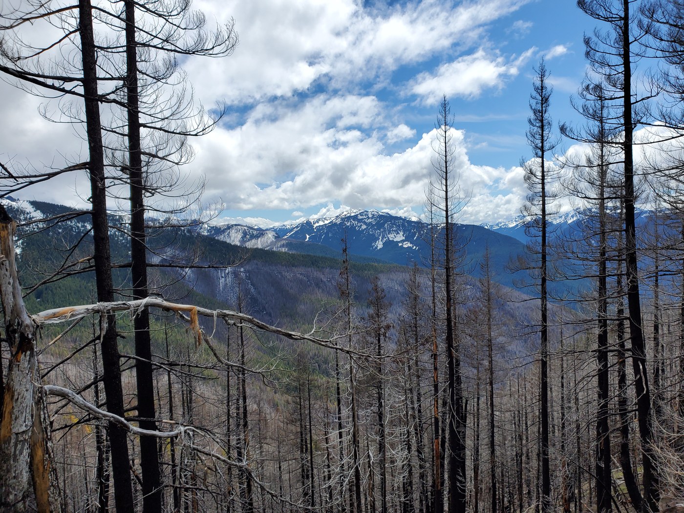 Deep Creek — Washington Trails Association