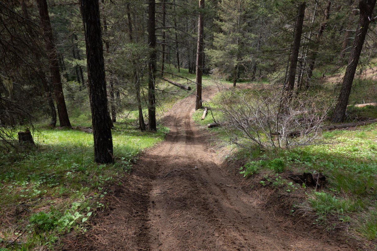 Mill Gulch Trail — Washington Trails Association