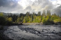 Queets River — Washington Trails Association