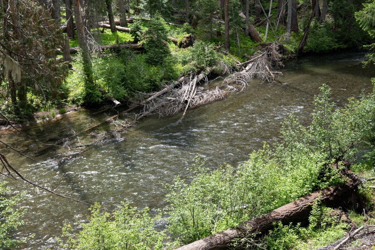 Pleasant Valley Loop — Washington Trails Association