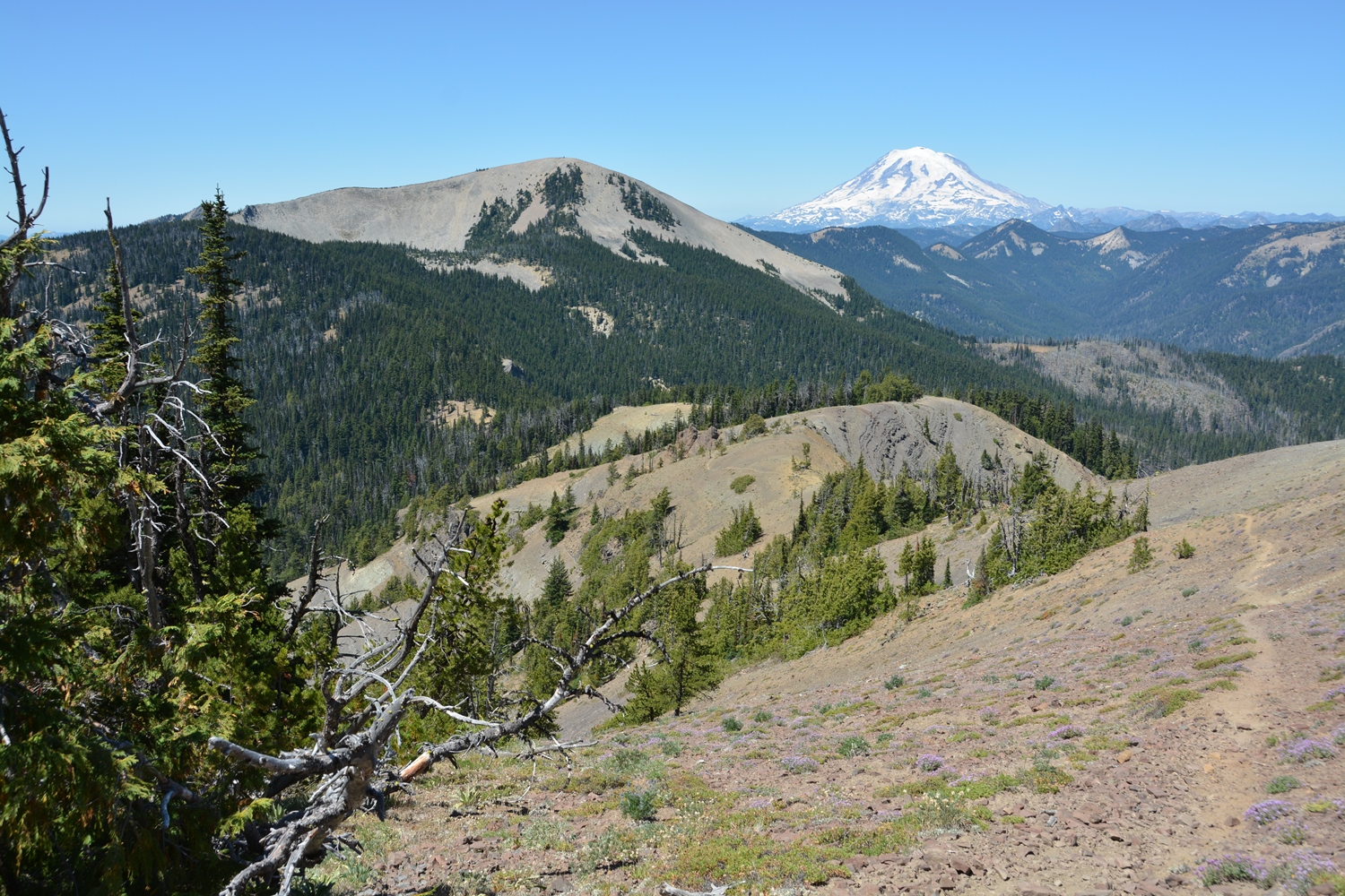 Shellrock Peak — Washington Trails Association