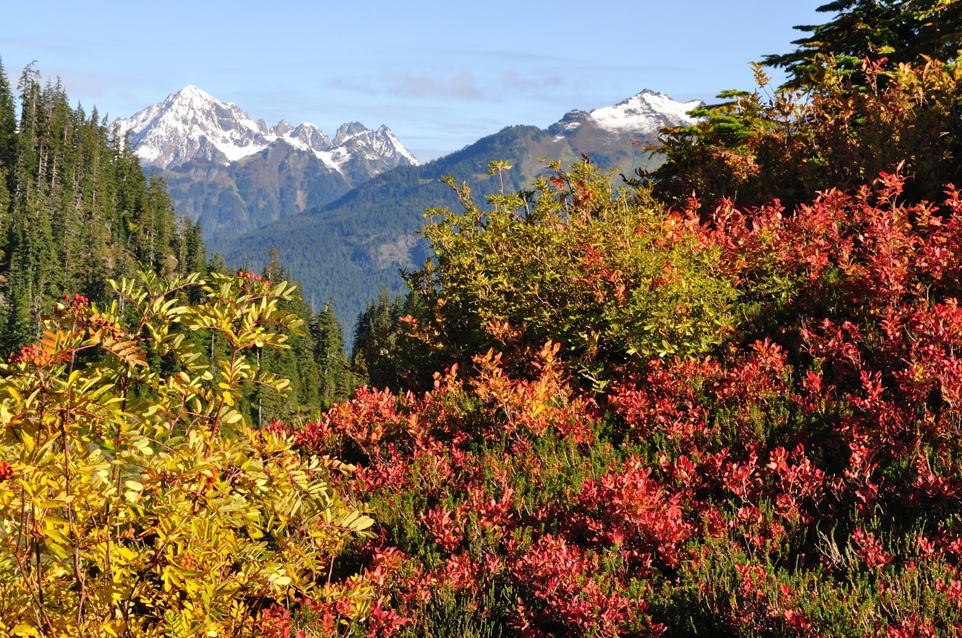 Wild Goose — Washington Trails Association