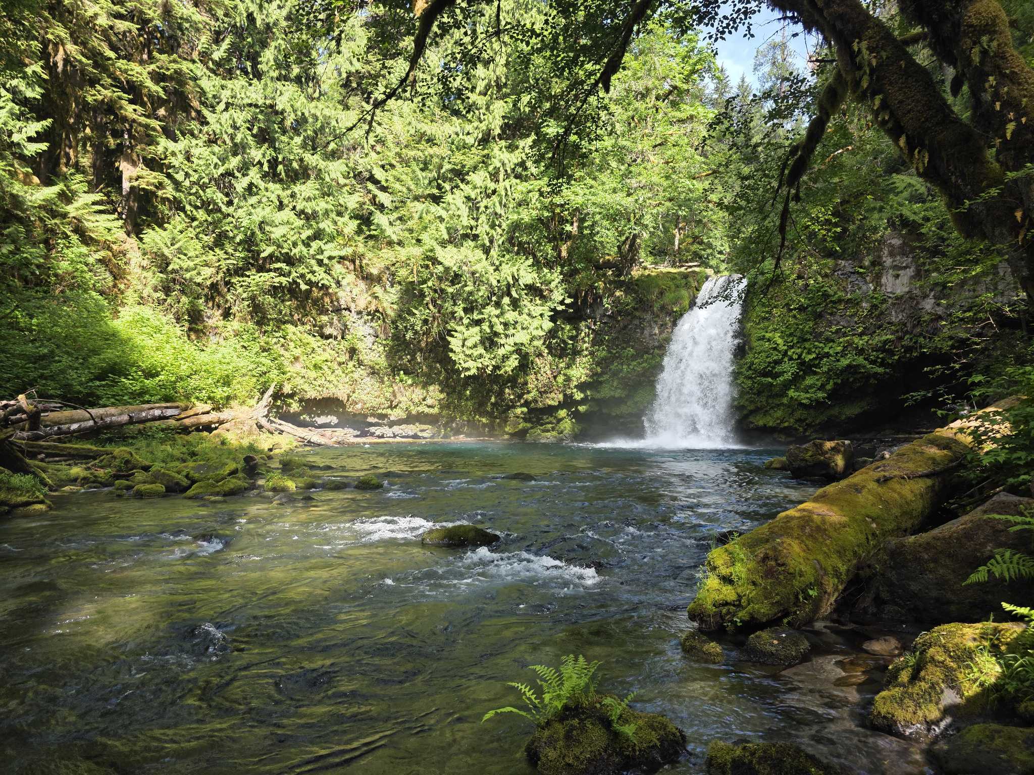 Merrill Lake Conservation Area - Kalama River Falls — Washington Trails ...
