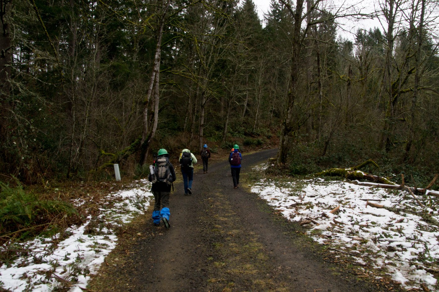 Little Lake Forest — Washington Trails Association