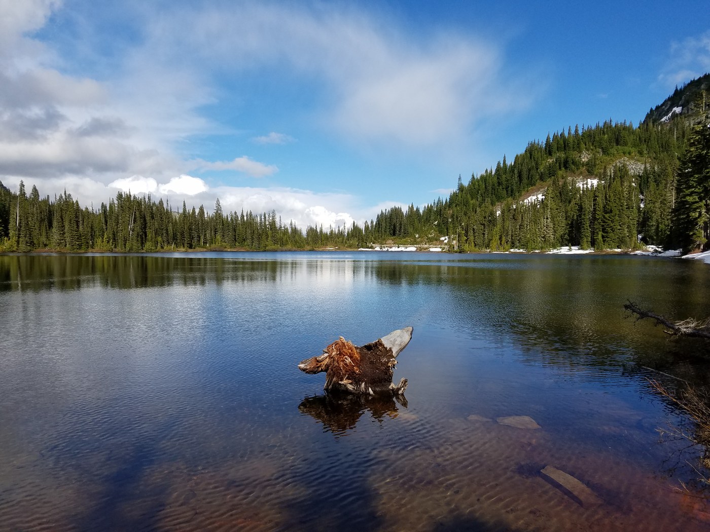 Longmire to Reflection Lakes — Washington Trails Association
