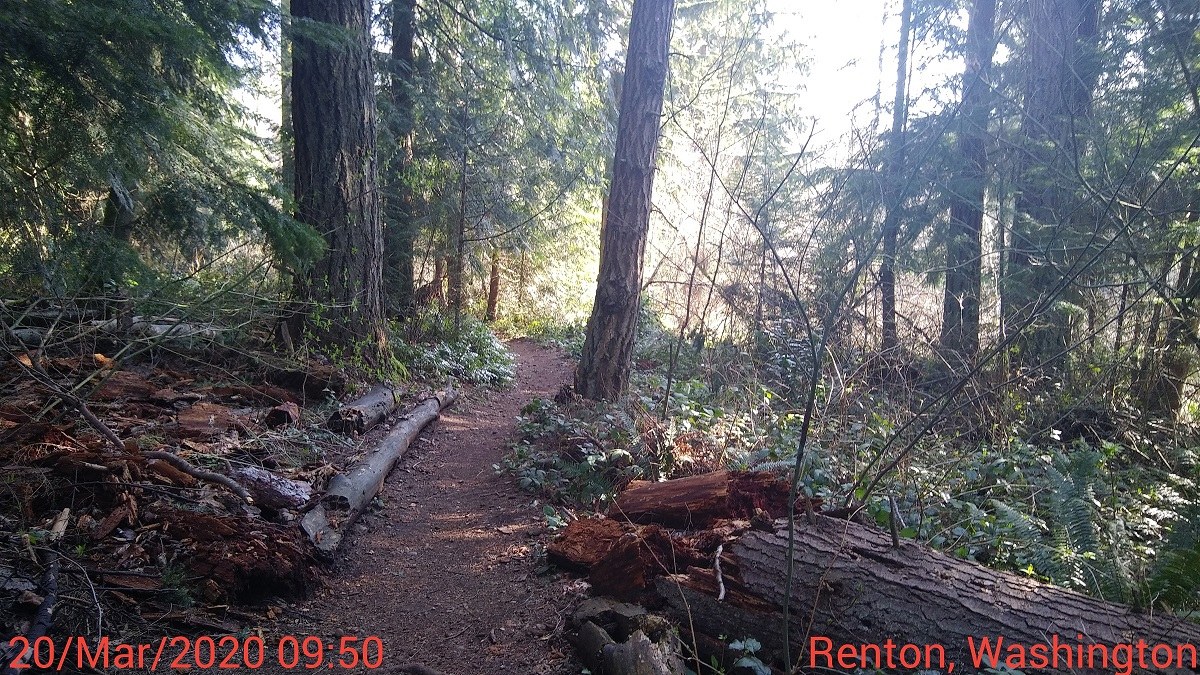 Renton Park — Washington Trails Association
