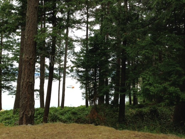 Jones Island Trail — Washington Trails Association