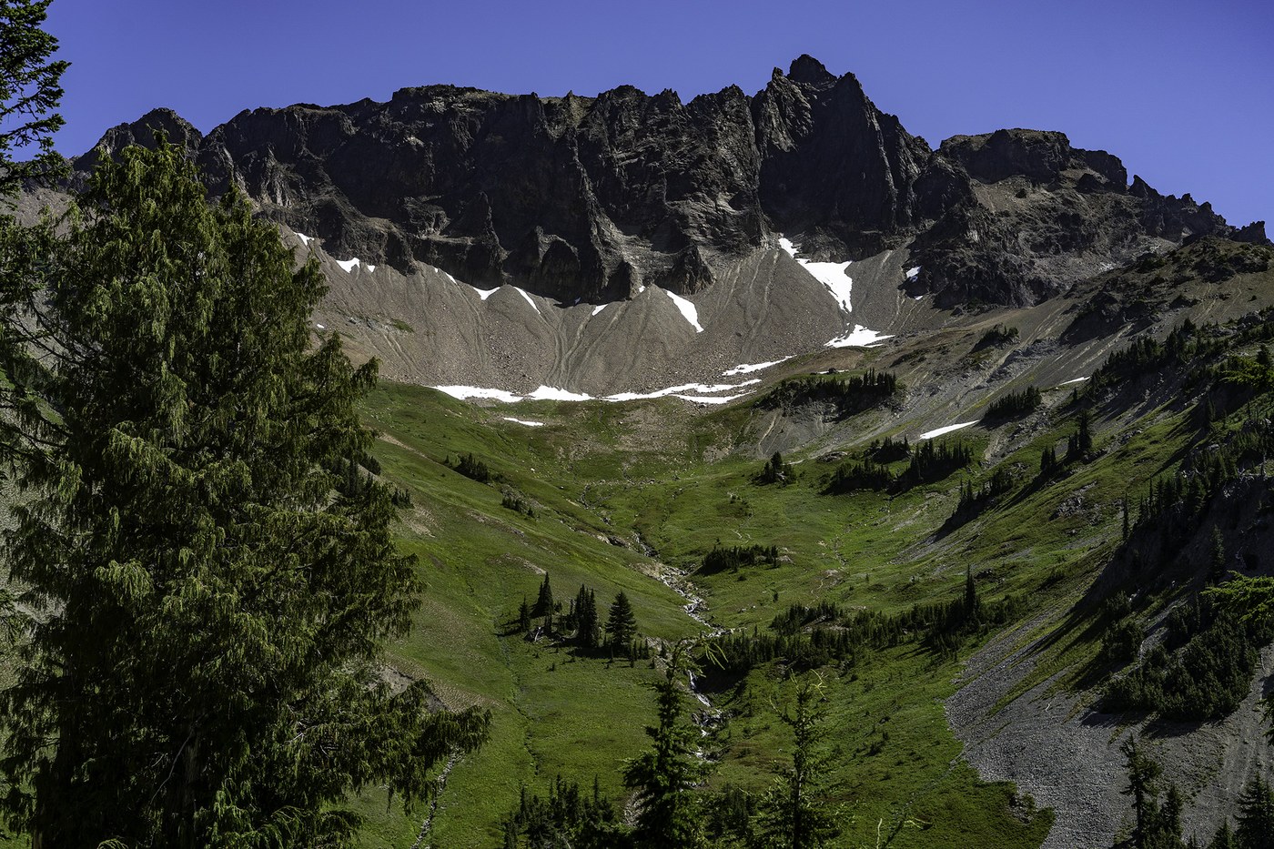 Cispus Pass — Washington Trails Association
