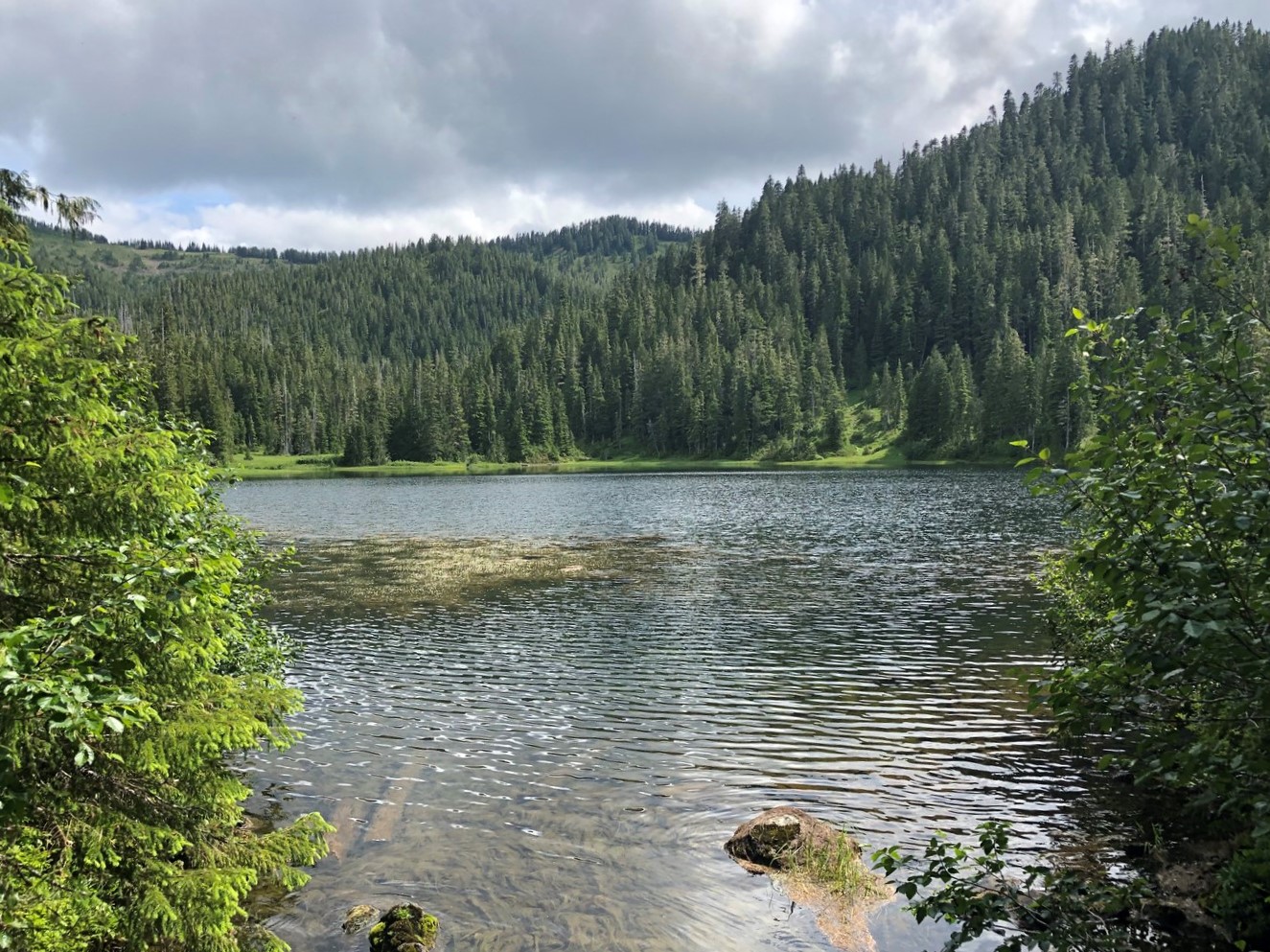 Kayaking Adventures at Deer Lake, BC: Ultimate Guide