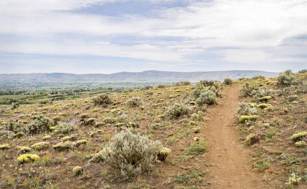 Rocky Top and Cowiche Mountain — Washington Trails Association