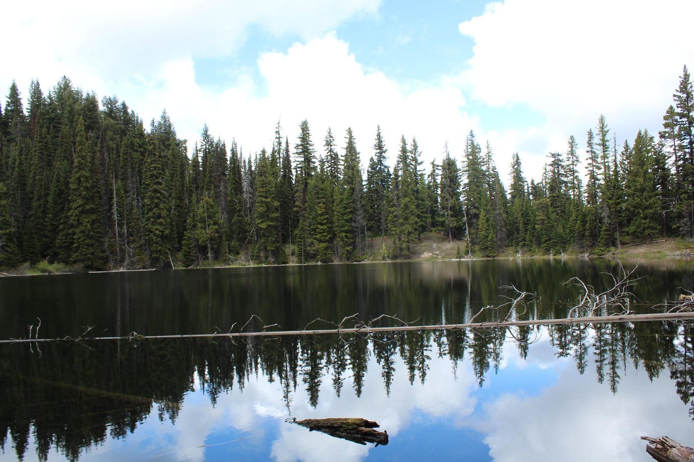 Taneum Lake — Washington Trails Association