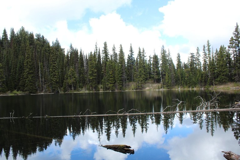 Taneum Lake — Washington Trails Association
