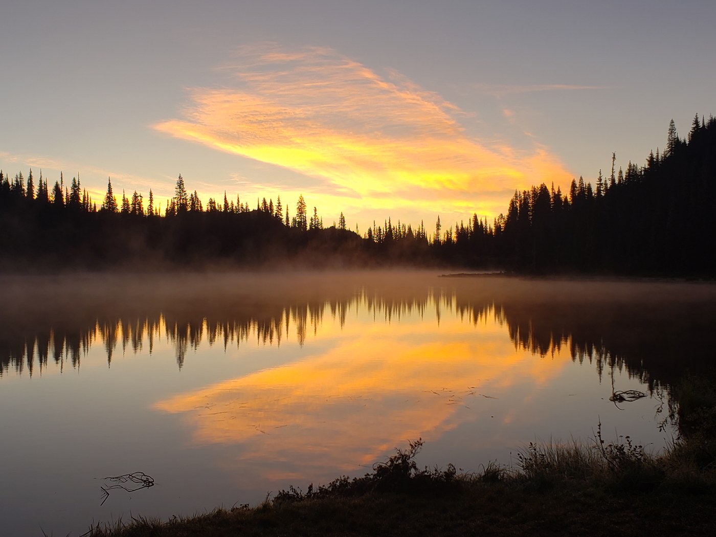Paradise Glacier — Washington Trails Association