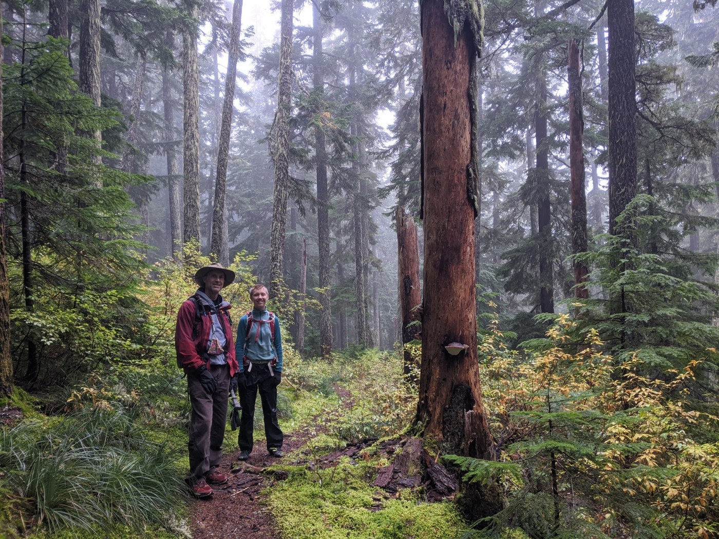 Pacific Crest Trail (PCT) - Stampede Pass to Windy Pass — Washington ...