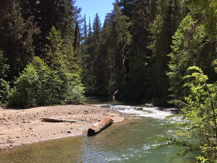 Tieton Meadows — Washington Trails Association
